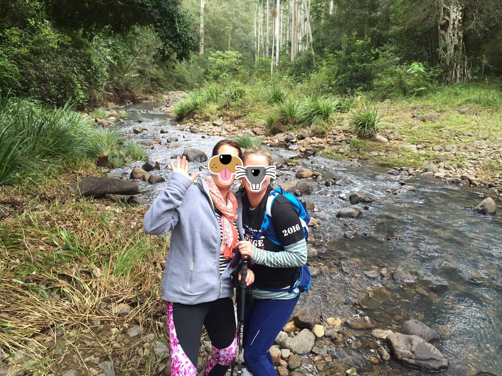 Why Hiking Saved my Sanity – and the 5 Hiking Benefits You Need to Know ...